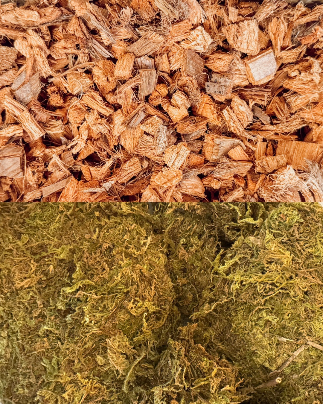 Substrate Bundle (2-pack) – HAPPY HAMSTERY