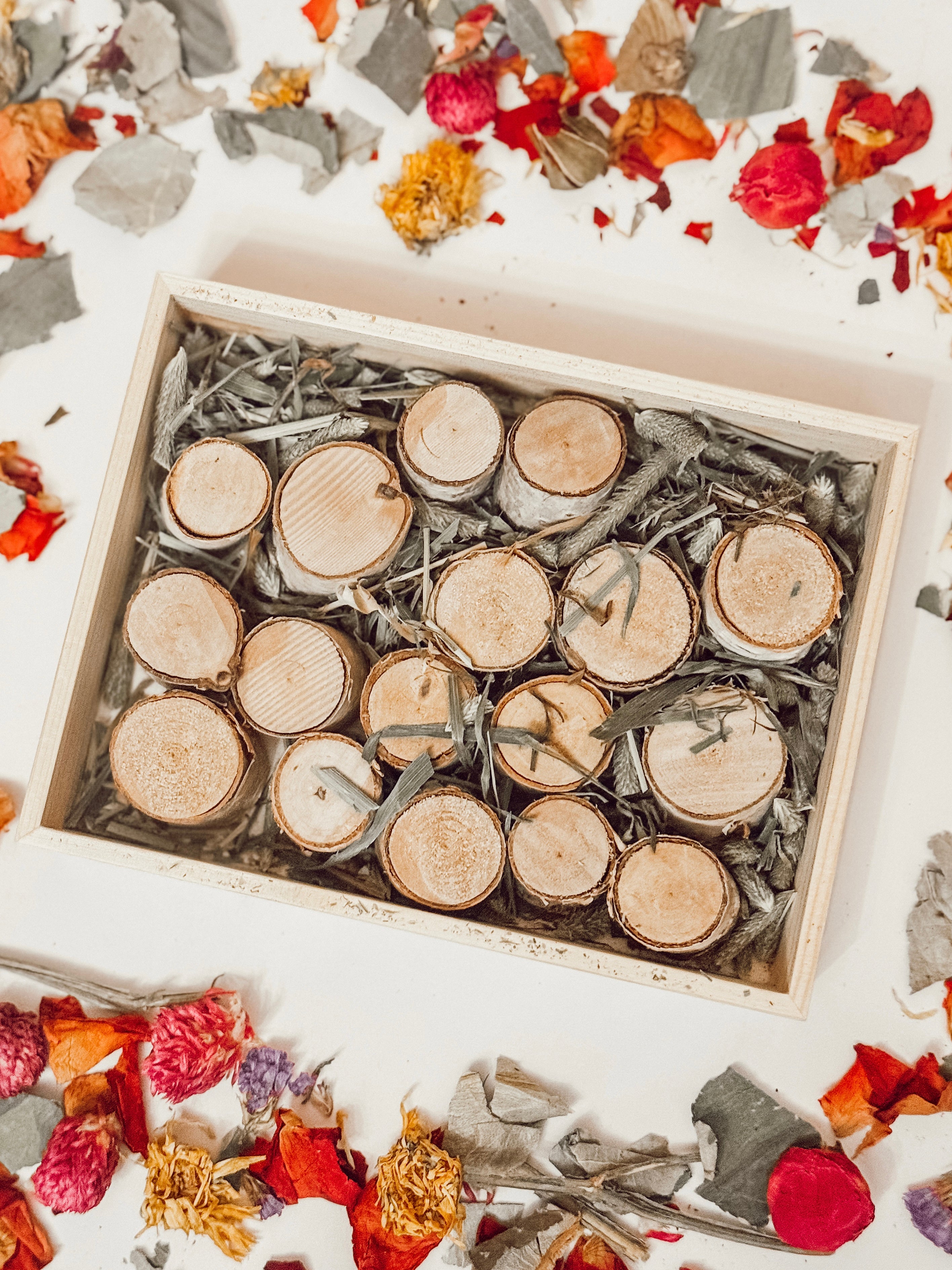 Birch Log Puzzle Toy – HAPPY HAMSTERY