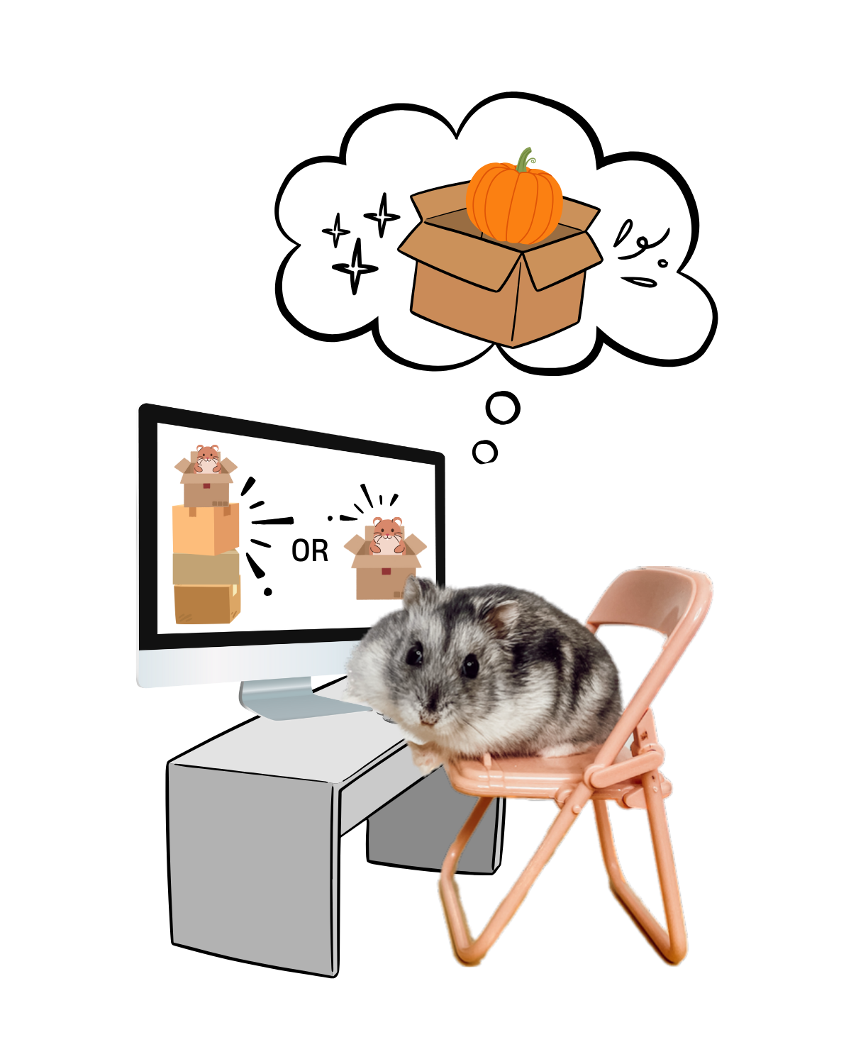 Hamster Subscription Box – HAPPY HAMSTERY