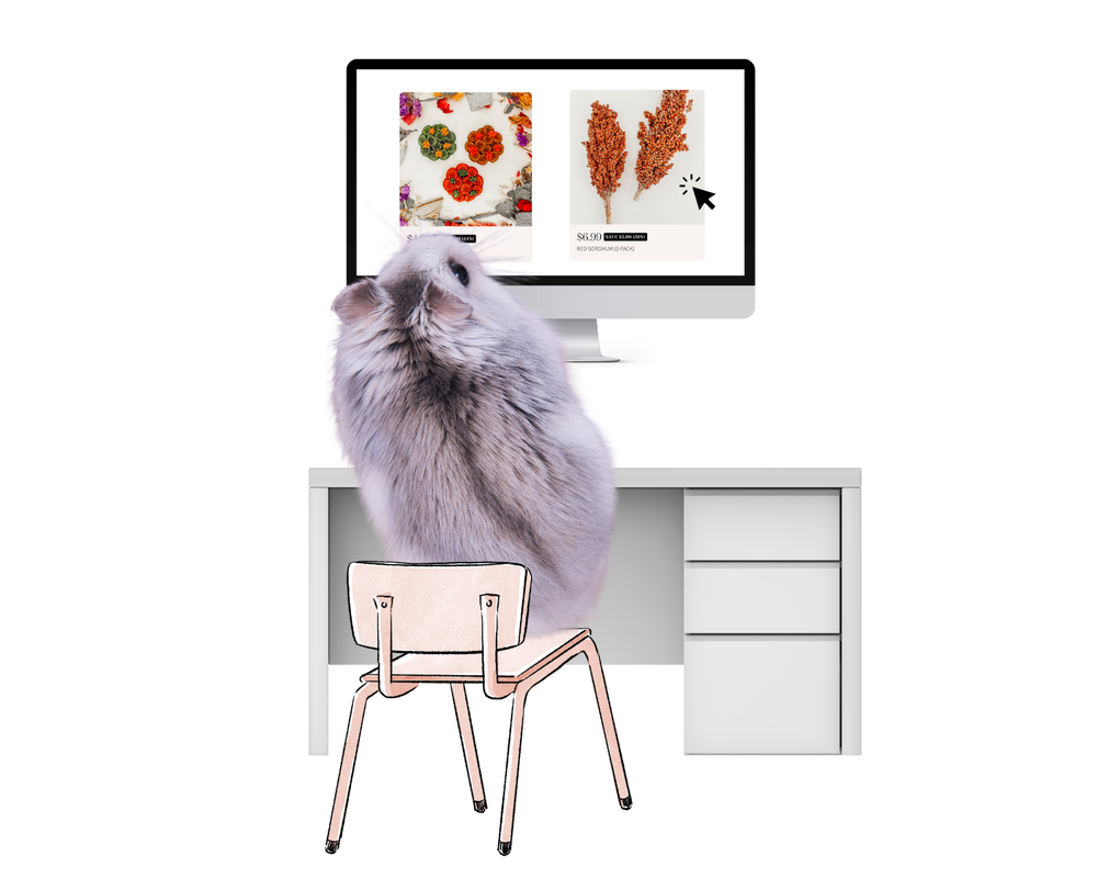 Hamster Subscription Box – HAPPY HAMSTERY