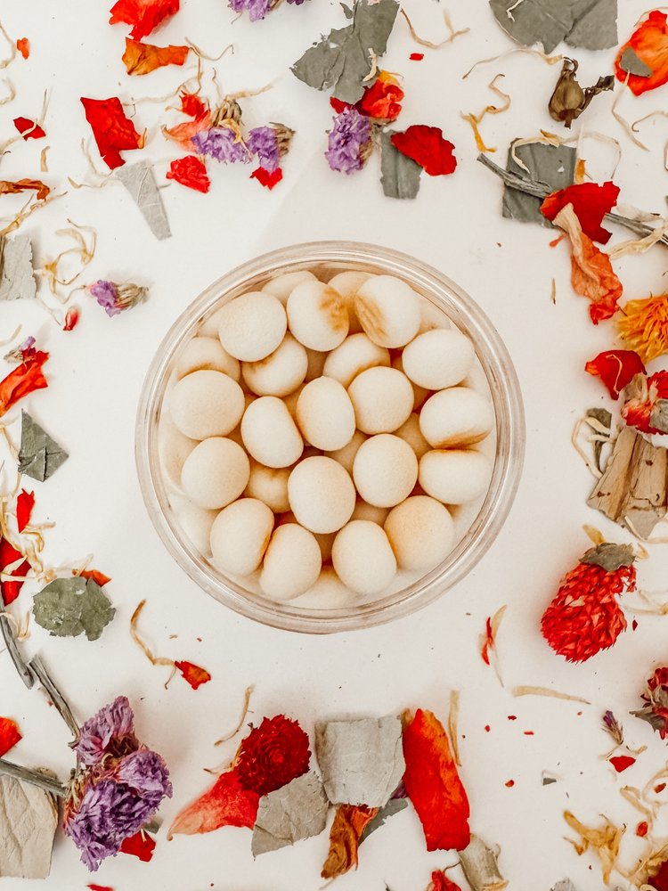 Hamster Subscription Box – HAPPY HAMSTERY