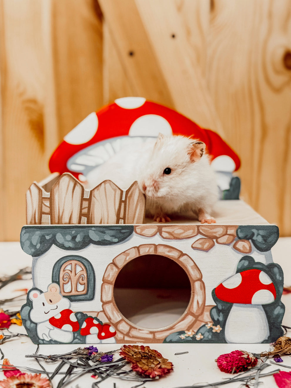 Hamster Subscription Box – HAPPY HAMSTERY