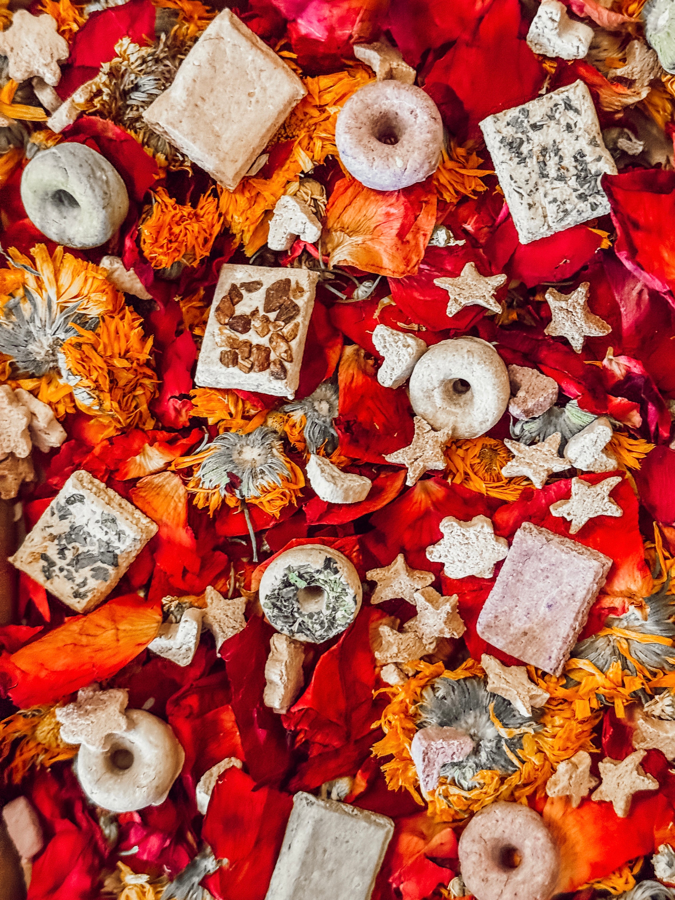Winter Cookie Forage Box – HAPPY HAMSTERY