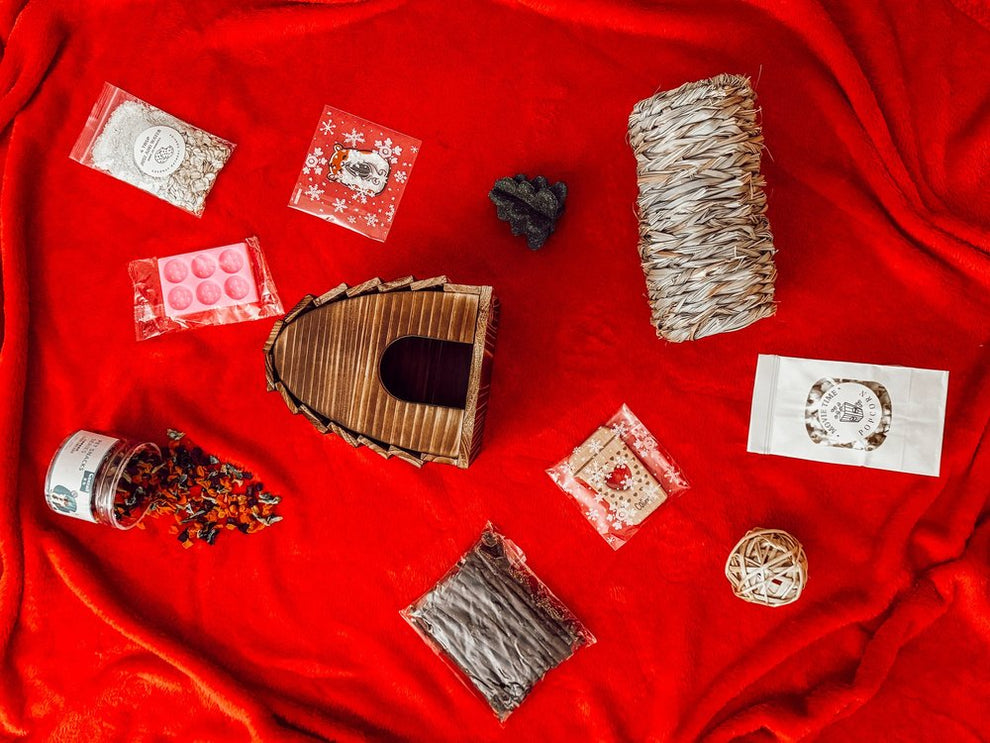 Hamster Subscription Box – HAPPY HAMSTERY
