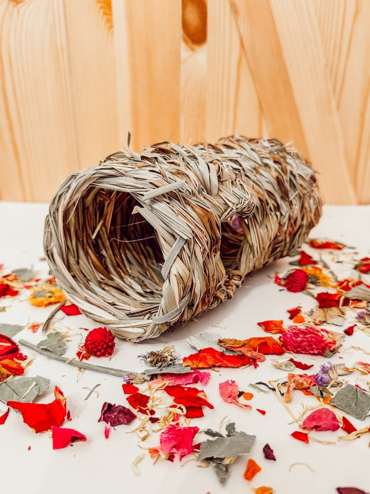 Hamster Subscription Box – HAPPY HAMSTERY