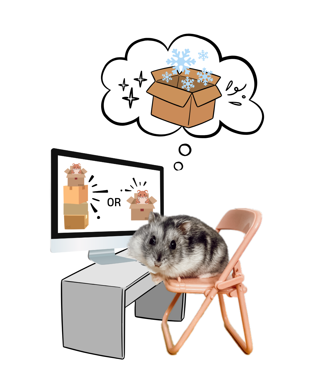 Hamster Subscription Box – HAPPY HAMSTERY